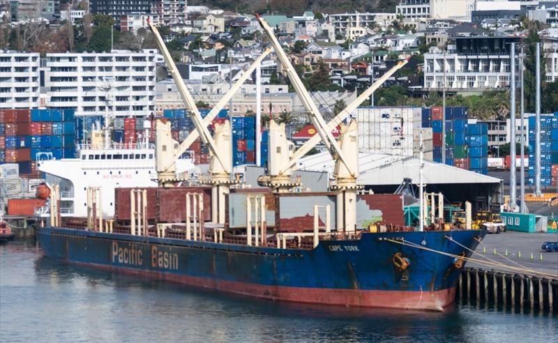 CAPE YORK (Bulk Carrier) - IMO: 9218088 | Vessel Details