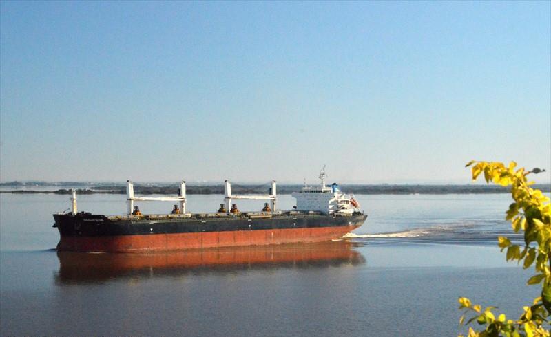 NASCO PEARL (Bulk Carrier) - IMO: 9547805 | Vessel Details