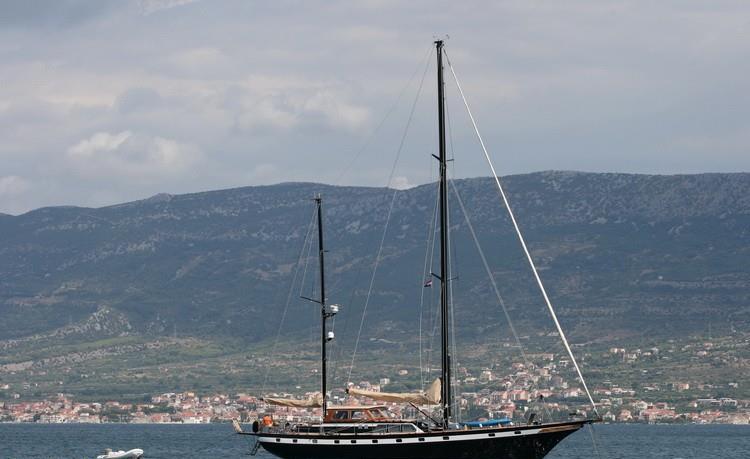 Black Molly Ii Vesseljoin 4883
