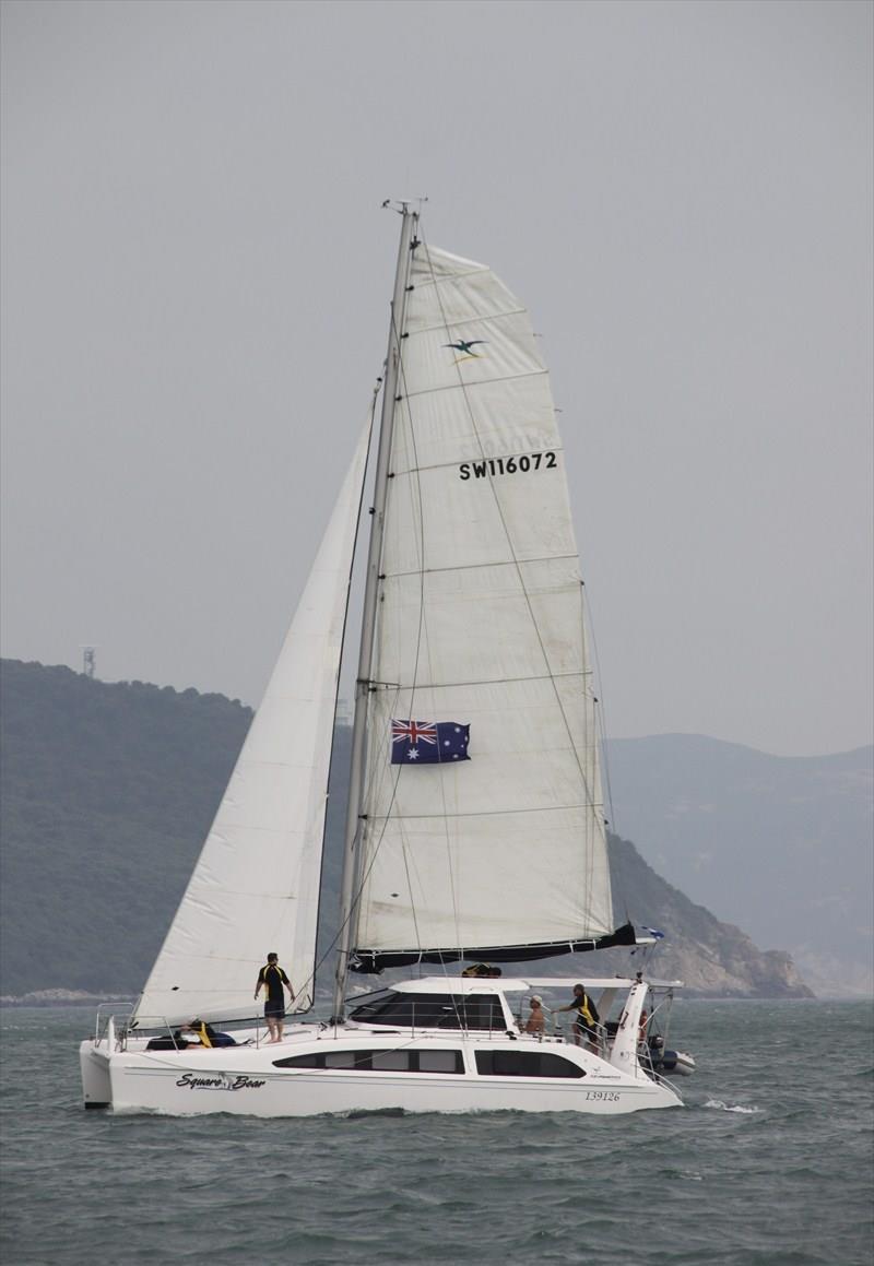 SQUARE BEAR - Vesseljoin