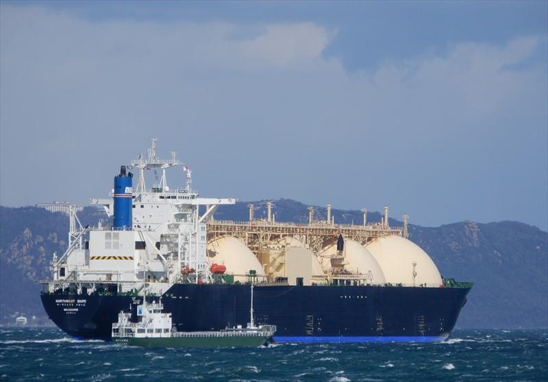 NORTHWEST SNIPE - Vesseljoin