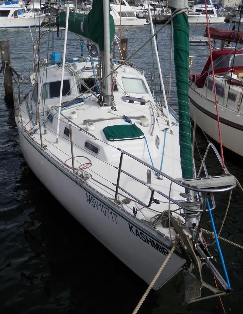 KASHMIR - Vesseljoin