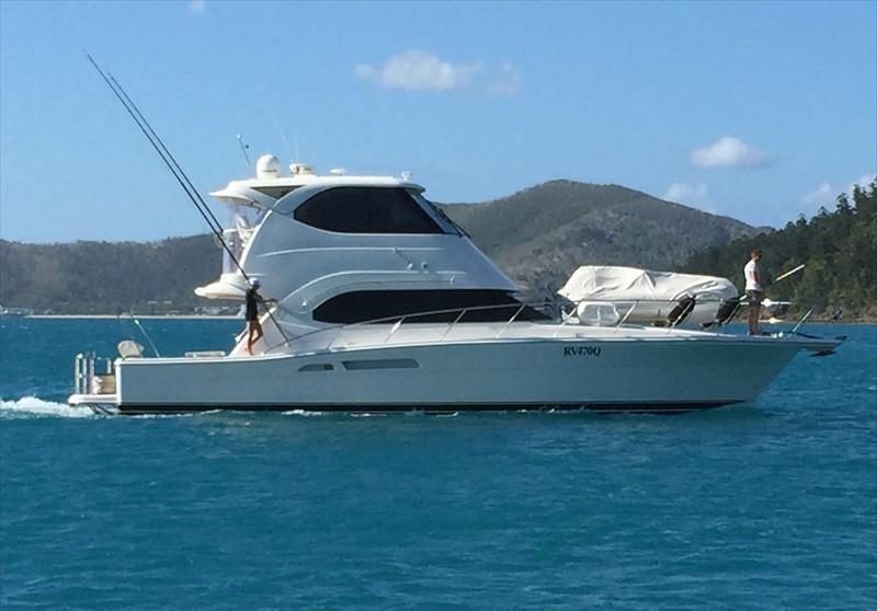 LIVE ACTION - Vesseljoin