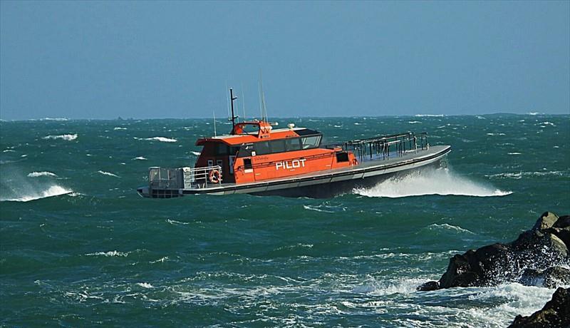 BERKELEY PILOT BOAT - Vesseljoin