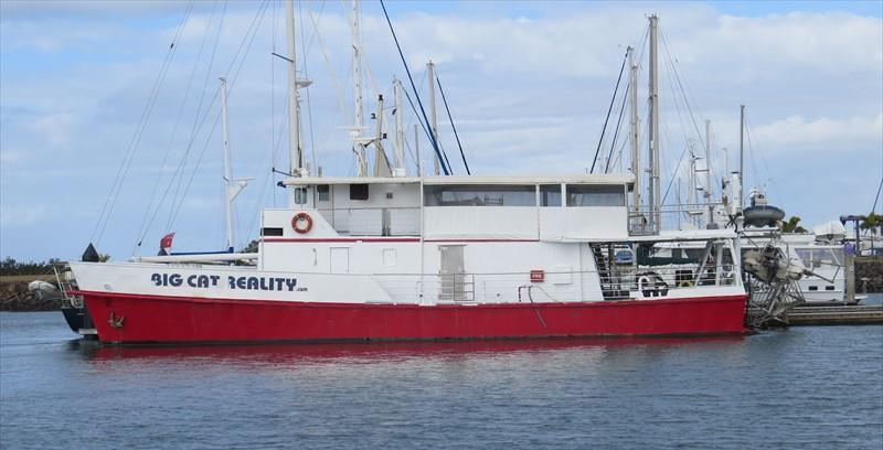 BIG CAT REALITY - Vesseljoin