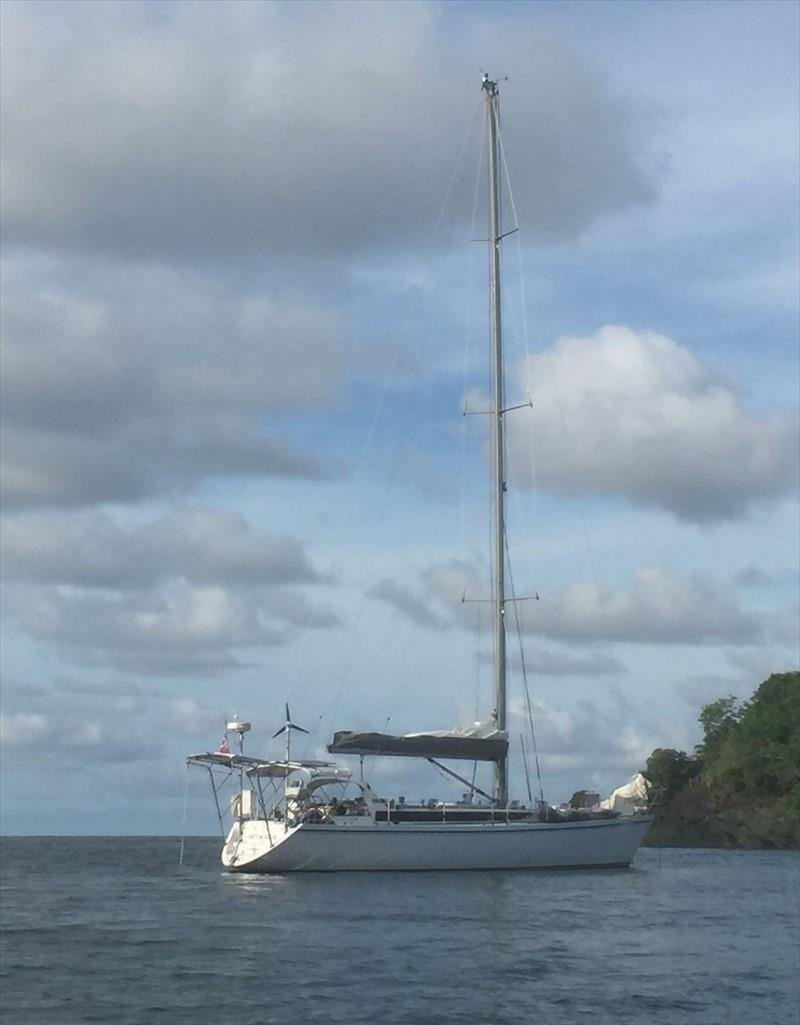 CERTA CITO - Vesseljoin