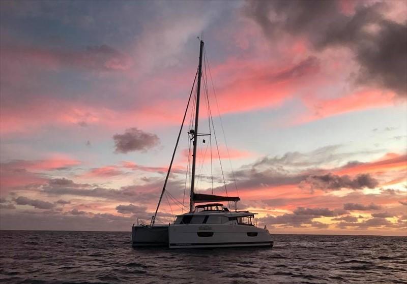 SANDY CHEEKS - Vesseljoin