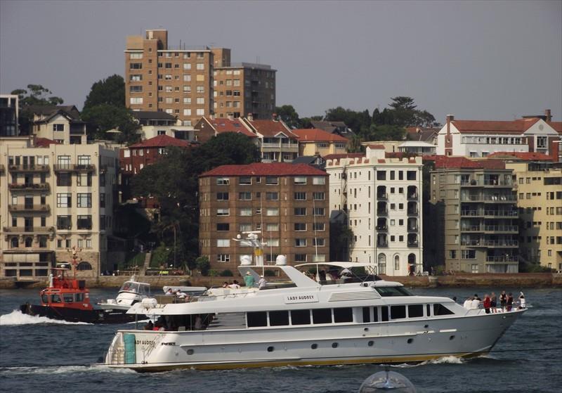 LADY AUDREY - Vesseljoin