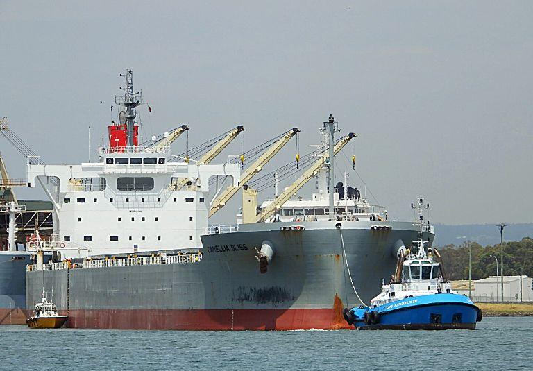 CAPE NATURALISTE - Vesseljoin