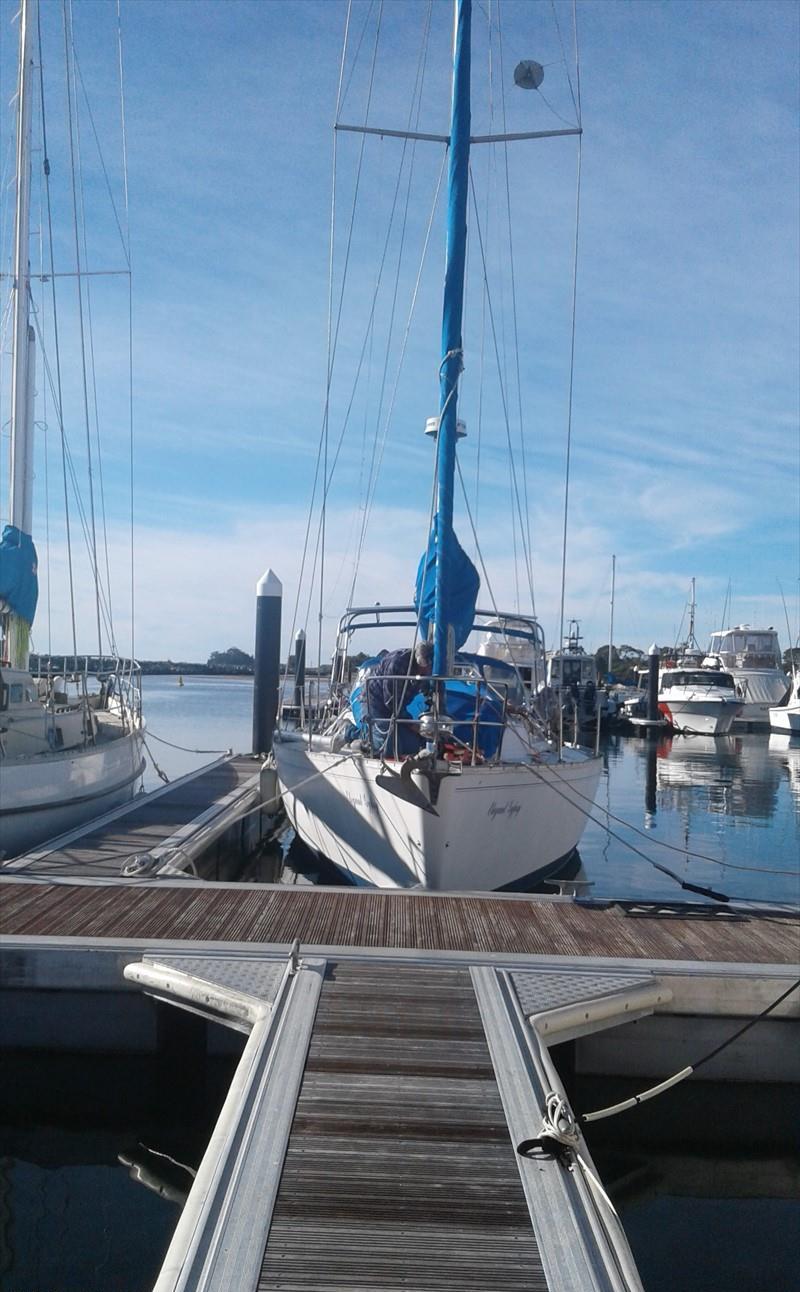 ELEGANT GYPSY - Vesseljoin