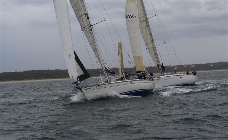 CELEBRITY - Vesseljoin