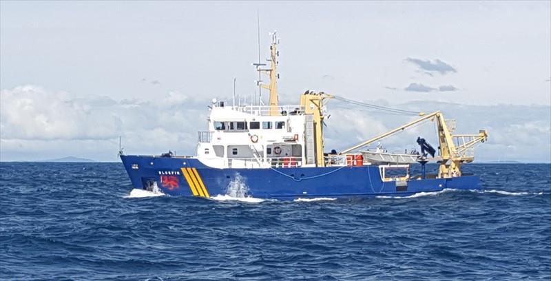 BLUEFIN - Vesseljoin