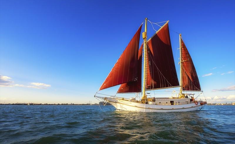 ALEXANDER STEWART - Vesseljoin