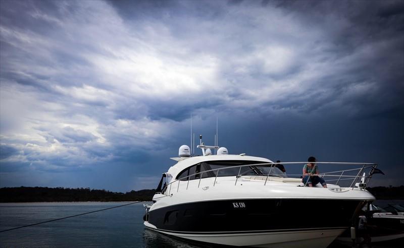 THE FOX CHASER - Vesseljoin