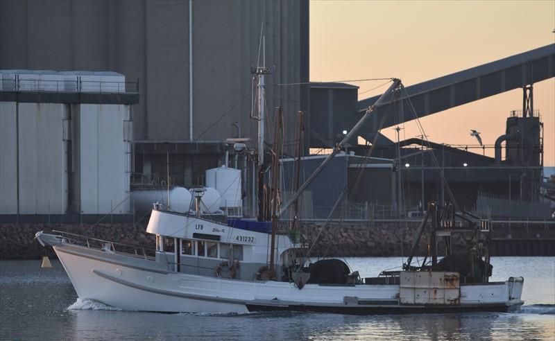 ELLIE K - Vesseljoin