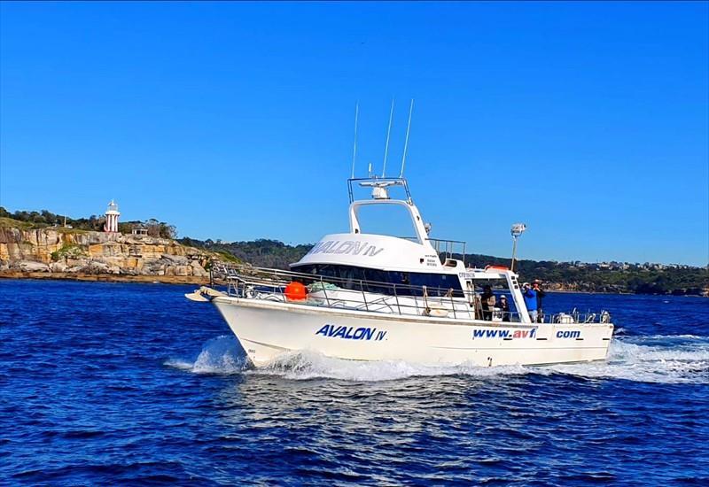 AVALON IV - Vesseljoin