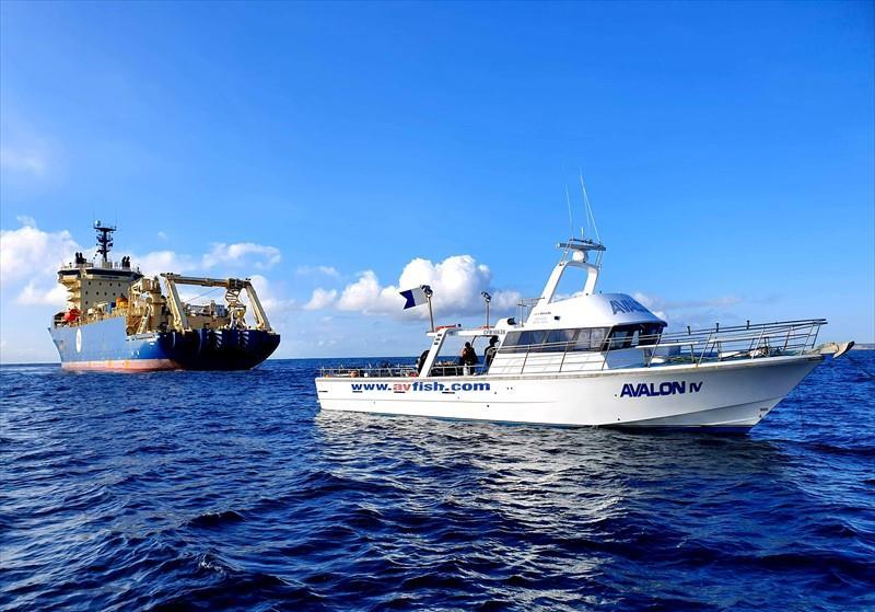 AVALON IV - Vesseljoin