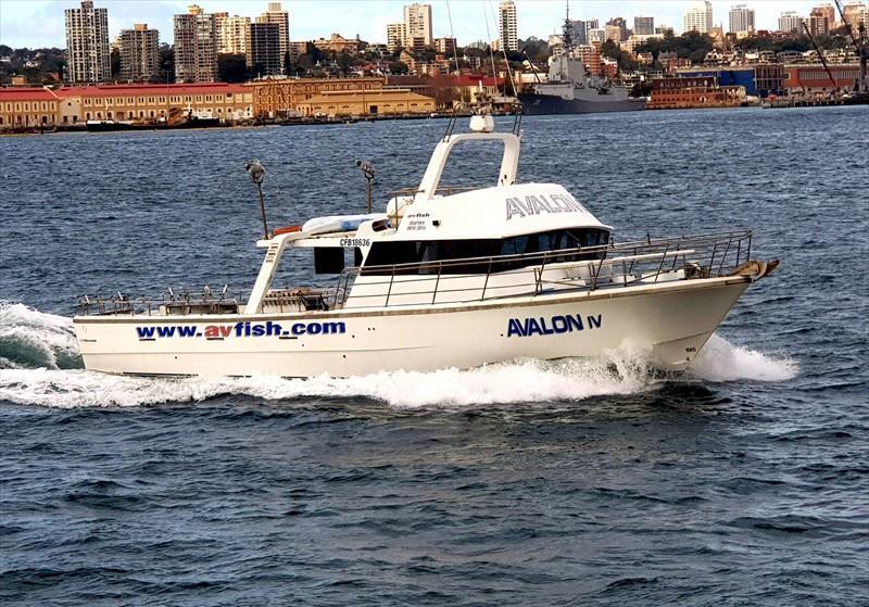 AVALON IV - Vesseljoin