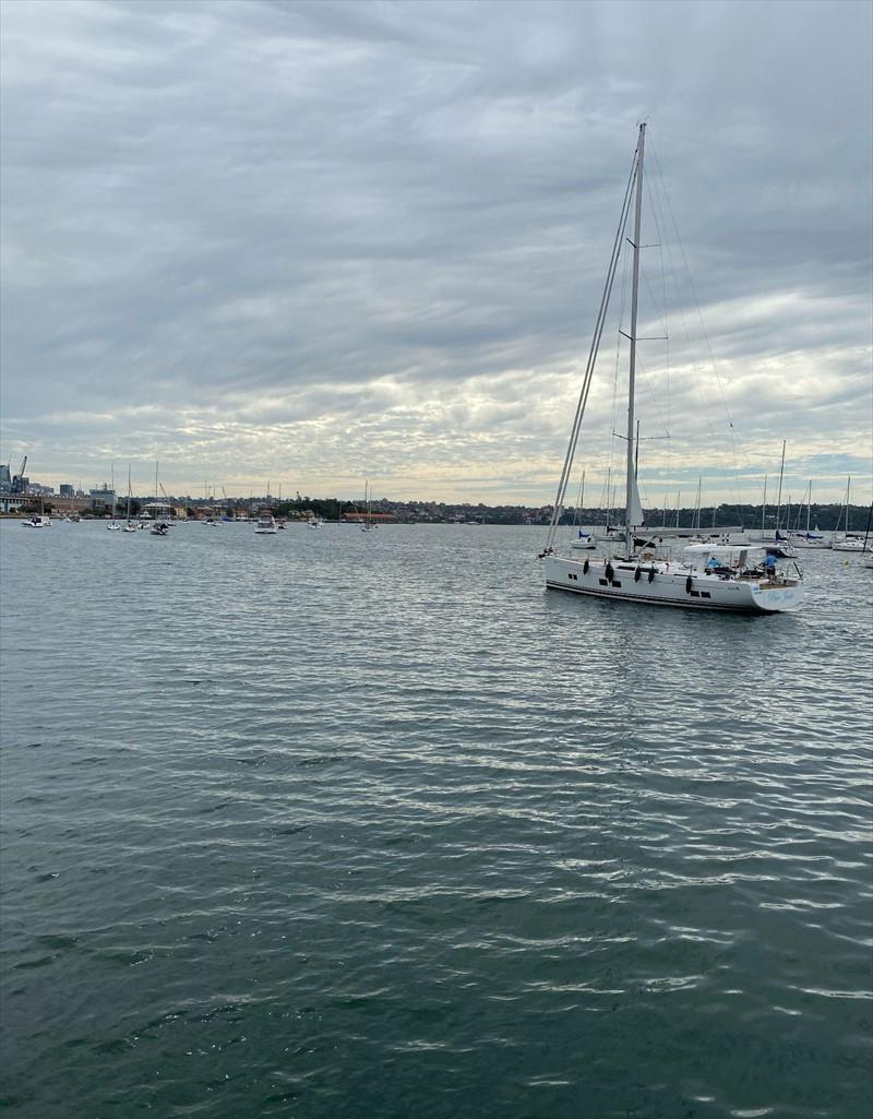 BLUE JADE - Vesseljoin