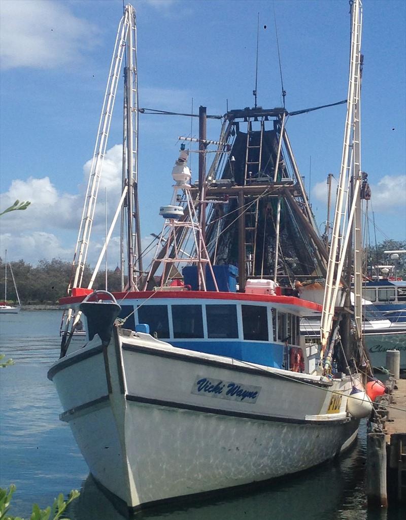 VICKI WAYNE - Vesseljoin