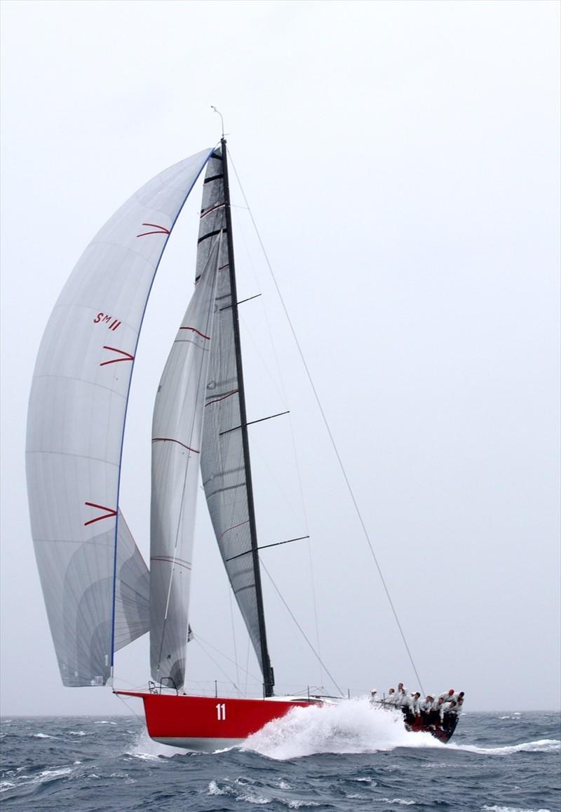 SCARLET RUNNER - Vesseljoin