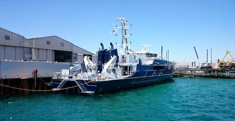 CAPE FOURCROY - Vesseljoin