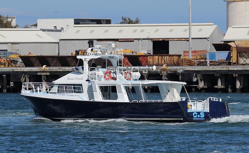 CORAL SNAKE - Vesseljoin