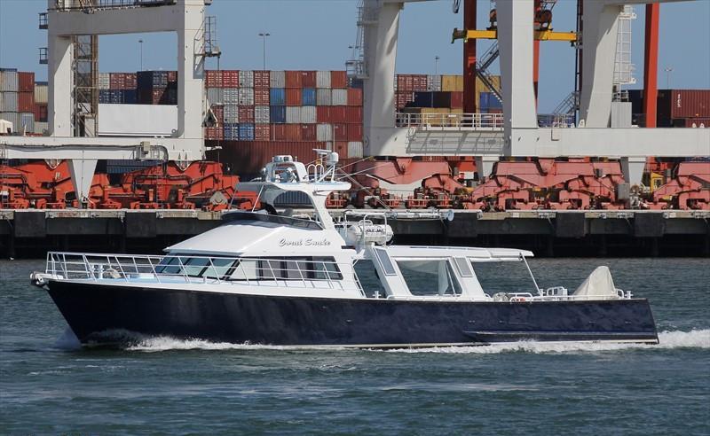 CORAL SNAKE - Vesseljoin