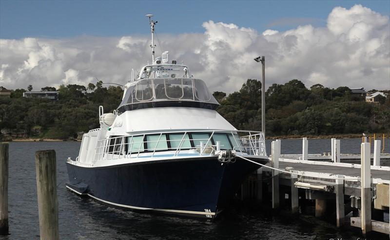 CORAL SNAKE - Vesseljoin