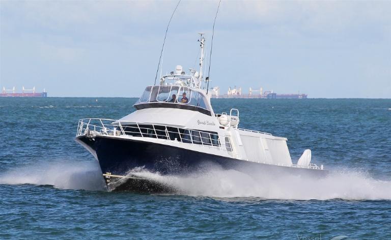 CORAL SNAKE - Vesseljoin