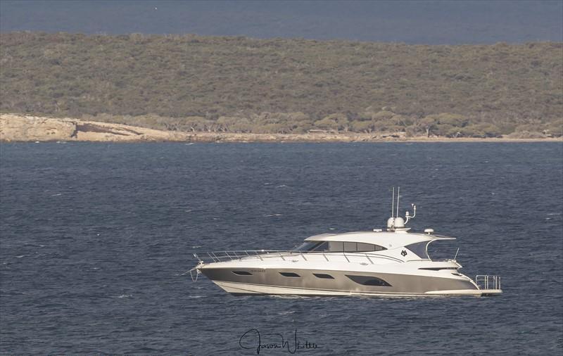 THE SILVER FOX - Vesseljoin