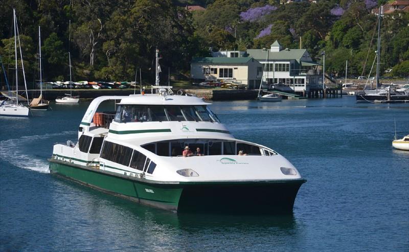 SUSIE ONEILL - Vesseljoin