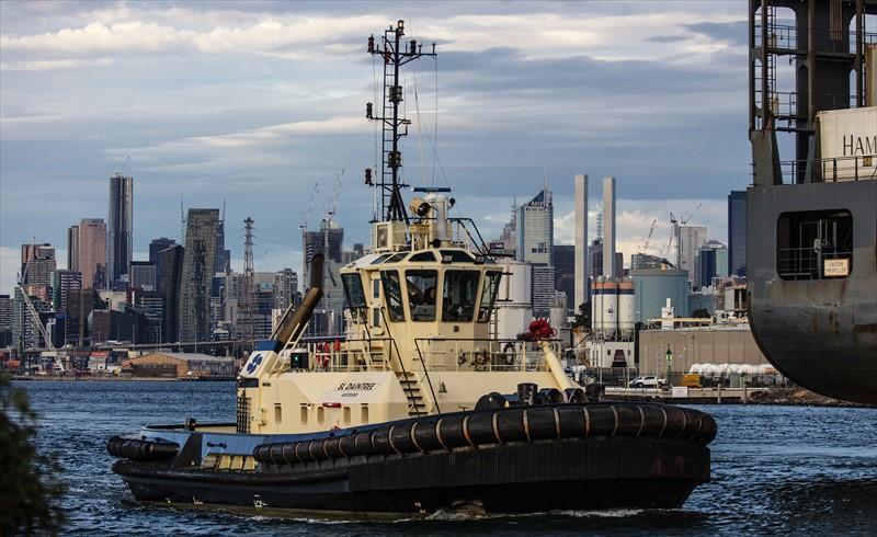 SL DAINTREE - Vesseljoin