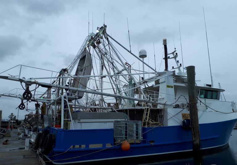 OCEAN MISS - Vesseljoin