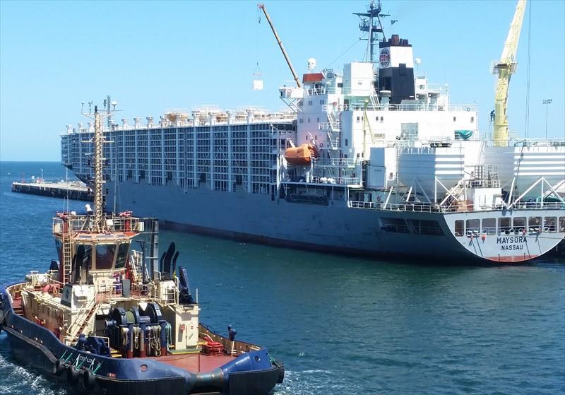 SVITZER FALCON - Vesseljoin