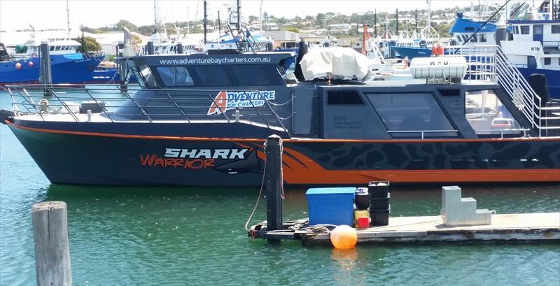 SHARK WARRIOR - Vesseljoin