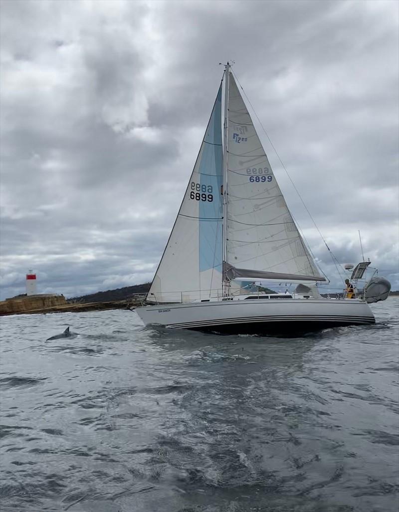 SEA DANCER - Vesseljoin