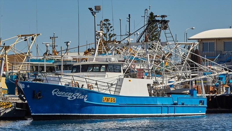 QUEEN STAR K - Vesseljoin