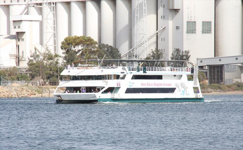 DOLPHIN EXPLORER - Vesseljoin