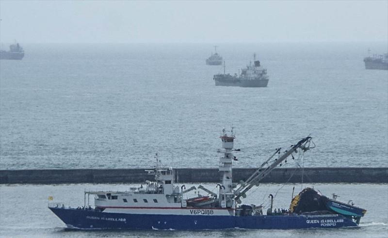 QUEEN ISABELLA 88 - Vesseljoin