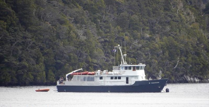 FLIGHTLESS - Vesseljoin