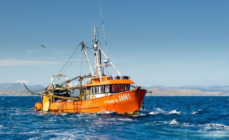 TOREA II - Vesseljoin