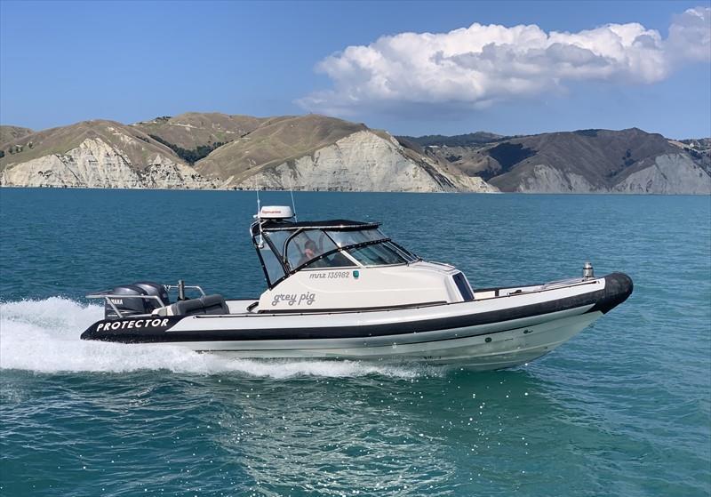 GREY PIG - Vesseljoin