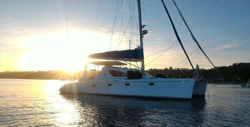 SAVANNA SAFARI - Vesseljoin