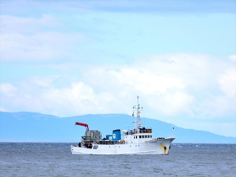 BRAVEHEART - Vesseljoin