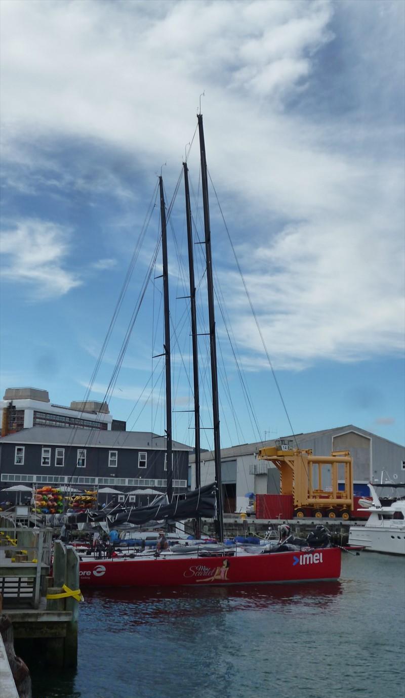 MISS SCARLET - Vesseljoin