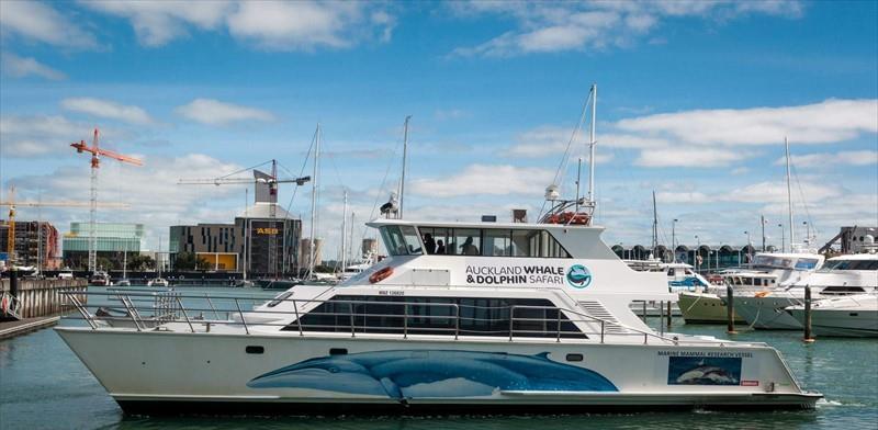 DOLPHIN EXPLORER - Vesseljoin