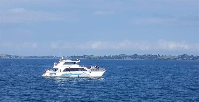 DOLPHIN EXPLORER - Vesseljoin