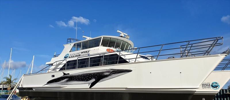 DOLPHIN EXPLORER - Vesseljoin