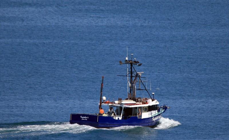 IMPULSE II - Vesseljoin